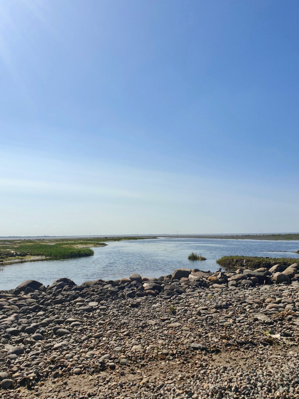Auf Robben-Safari vor der dänischen Nordsee-Insel Mandø
